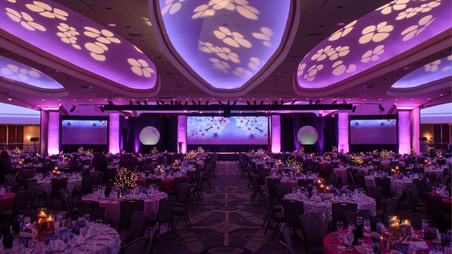 News & Updates | America's 250th Anniversary Gala | Countdown 250 Ball ...